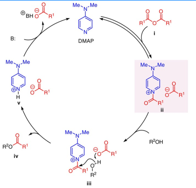 Acyl Transfer Reagents and Catalysts | OpenOChem Learn